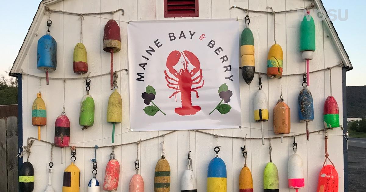 I'm Your Neighbor | Shaun Knight & Christa Stofferahn: Maine Bay ...