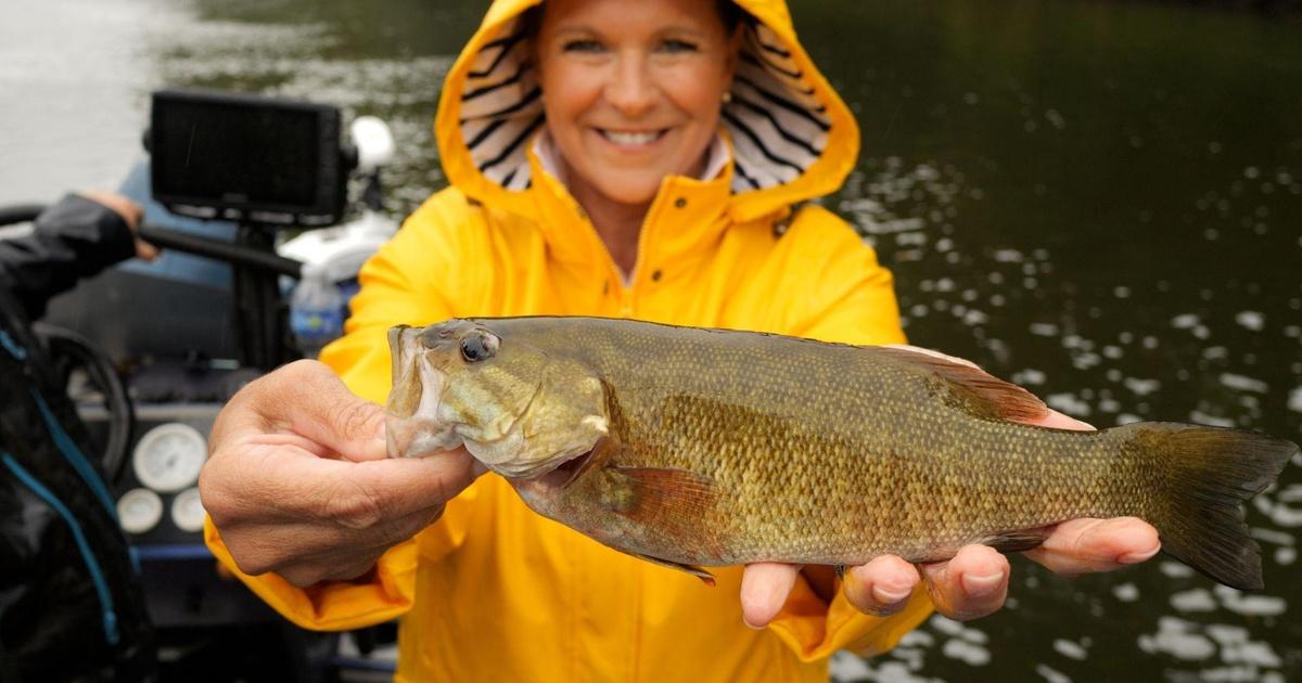 French Magnolia Cooks | French Magnolia Cooks: Small Mouth Bass ...