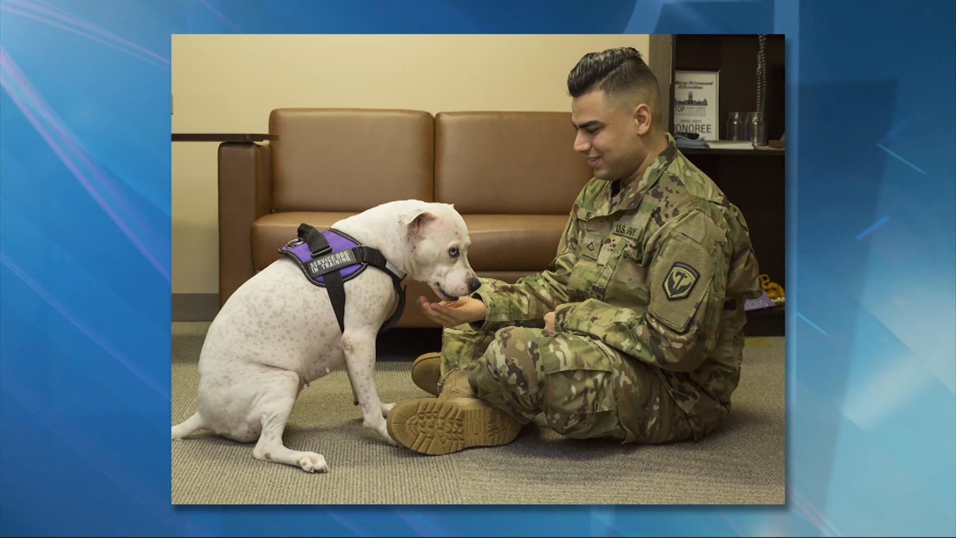 Robitaille, Pichardo & Skyla/Dabiri/Miller | One-on-One | NJ PBS