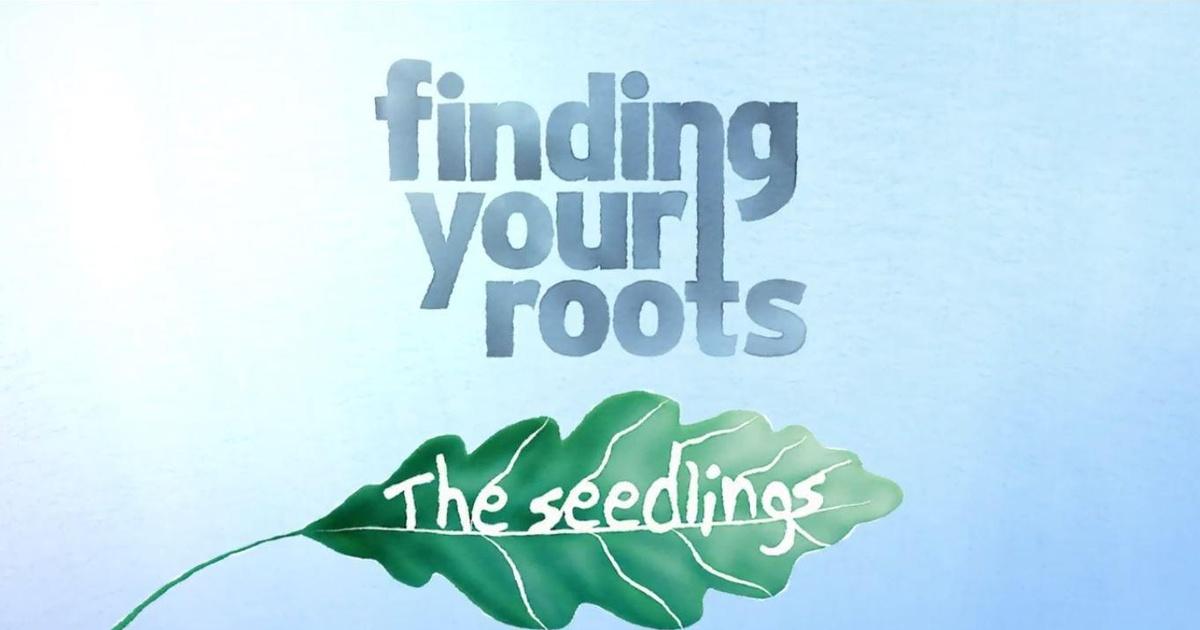 Finding Your Roots | Finding Your Roots: The Seedlings Trailer | Season ...