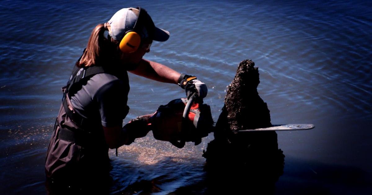 Oregon Field Guide | Tree Rings and Earthquakes; Avalanche Dogs; Wood ...