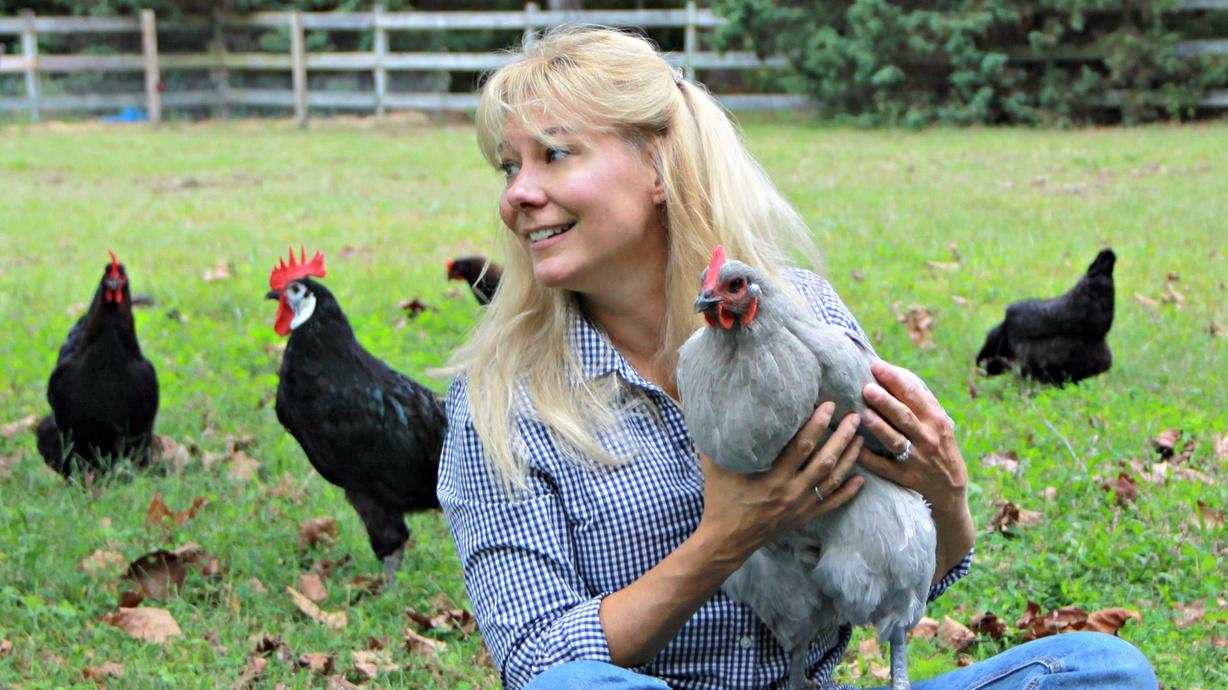 The Chicks Are Coming! | Watch on PBS Wisconsin