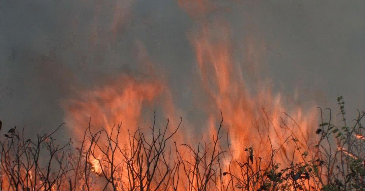 Science Trek | Wildfire: Wildfire Characteristics | Houston PBS