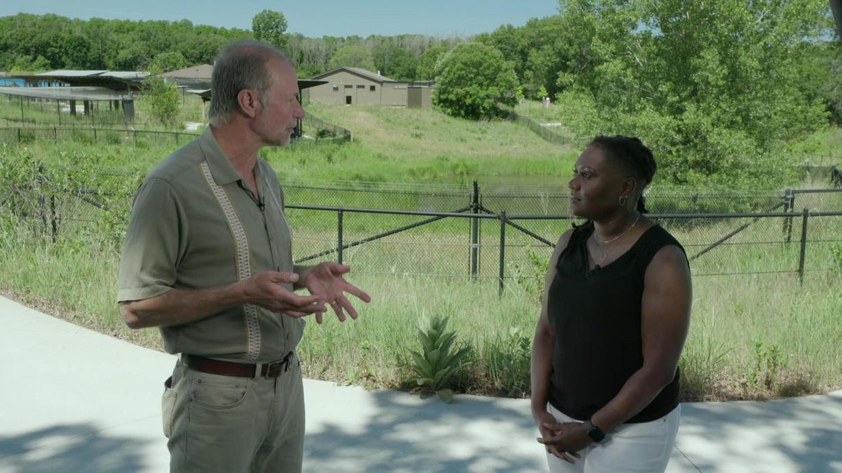 Angela Fitzgerald visits the International Crane Foundation | Watch on ...