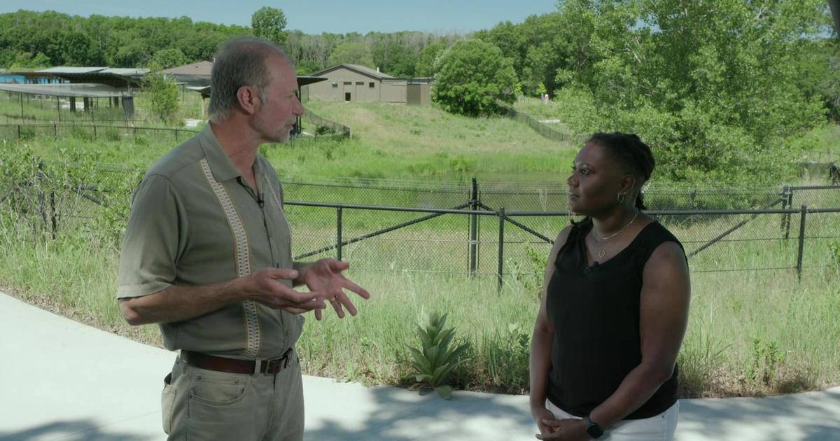 Wisconsin Life | Angela Fitzgerald visits the International Crane ...