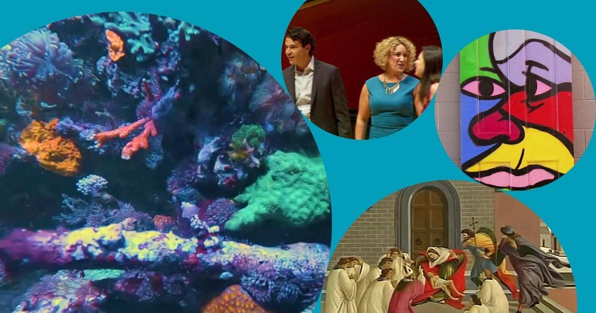 WEDU Arts Plus | Season 10 | Episode 1014 | PBS