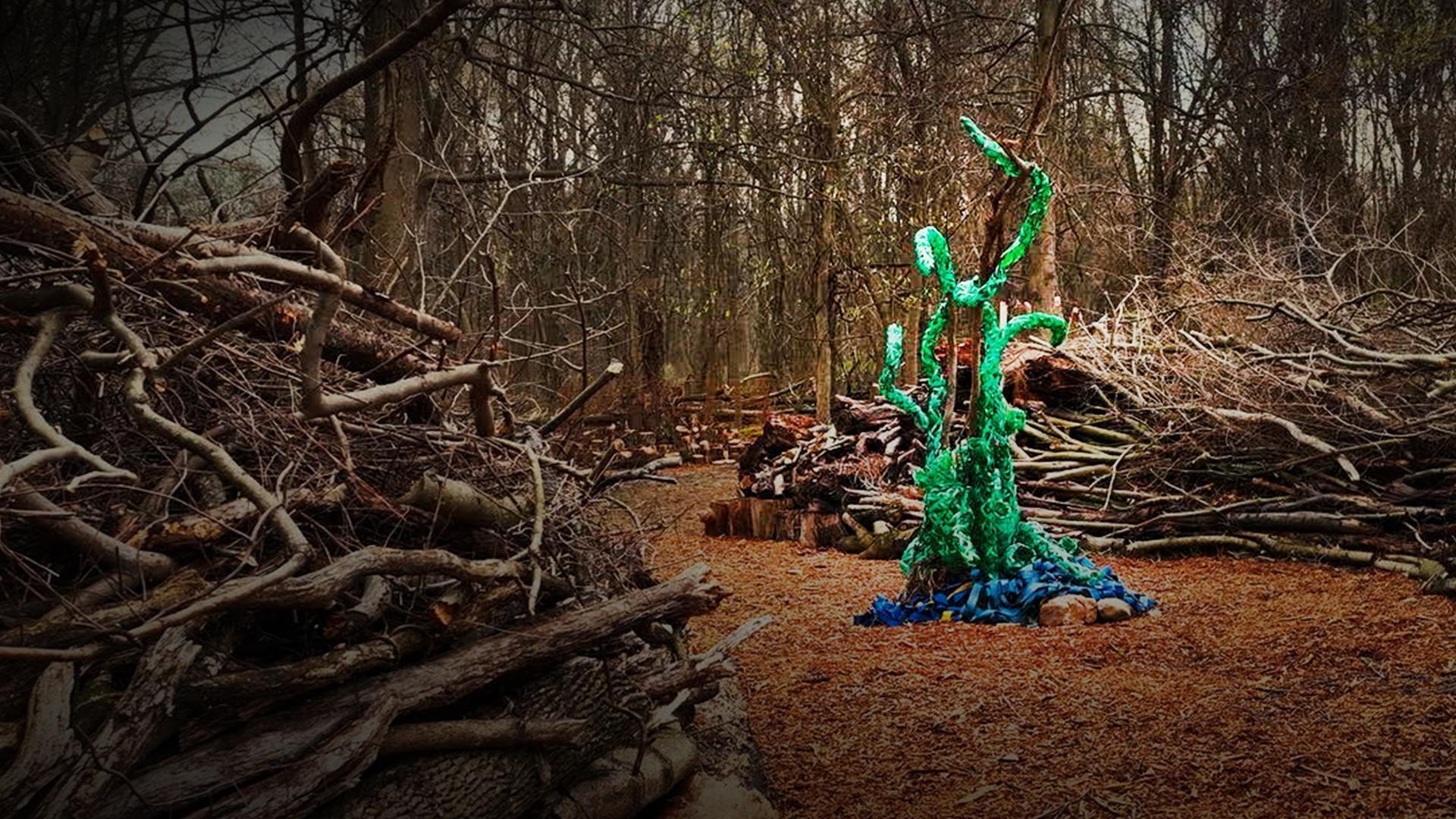 Weaving Nature | American Masters | THIRTEEN - New York Public Media