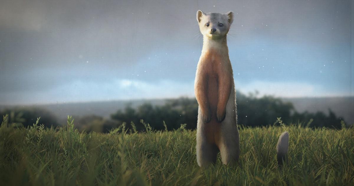 Eons | How Weasels Got Skinny | Season 3 | Episode 44 | OPB