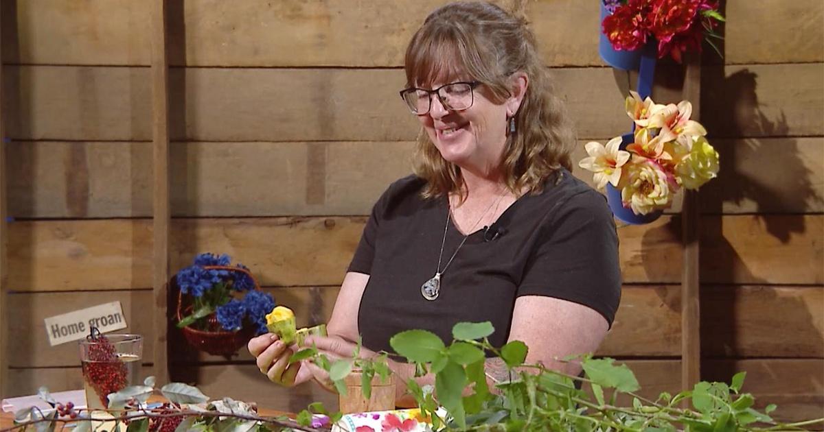 Virginia Home Grown | Uses for Native Plants | Season 21 | Episode 6 | PBS