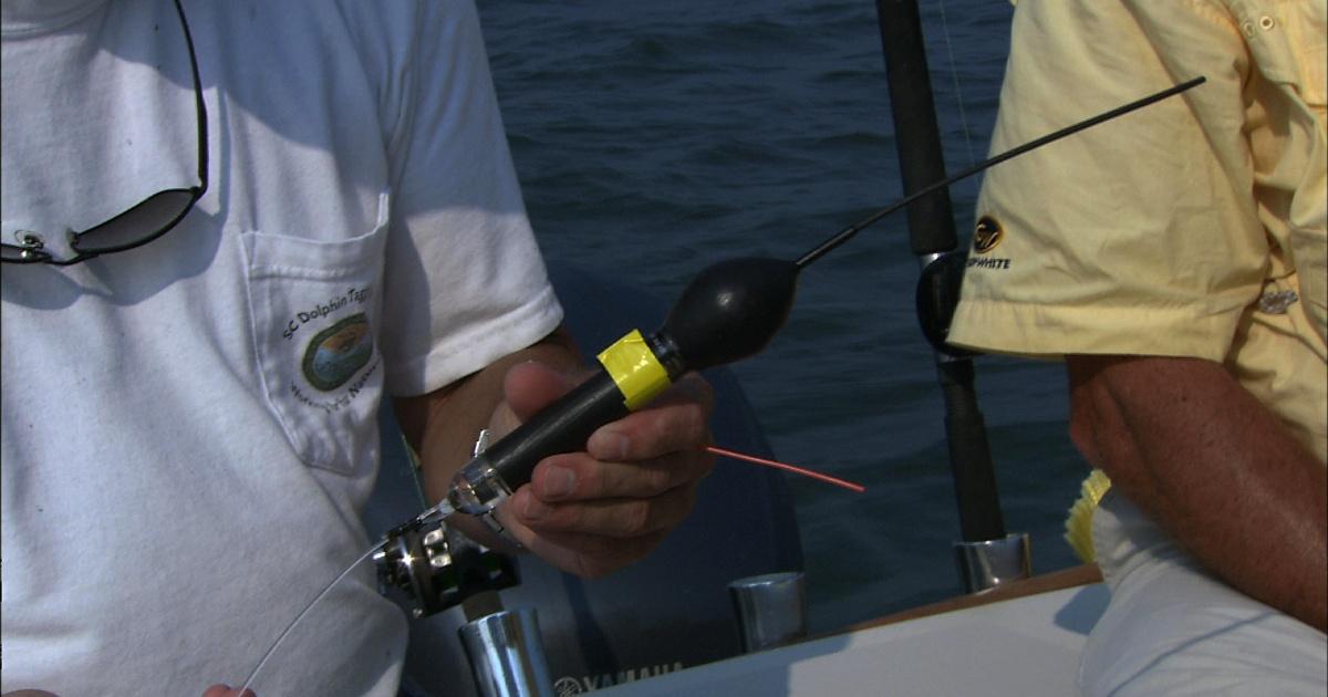 Carolina Outdoor Journal | Sporty Fish | Gear Time | PBS