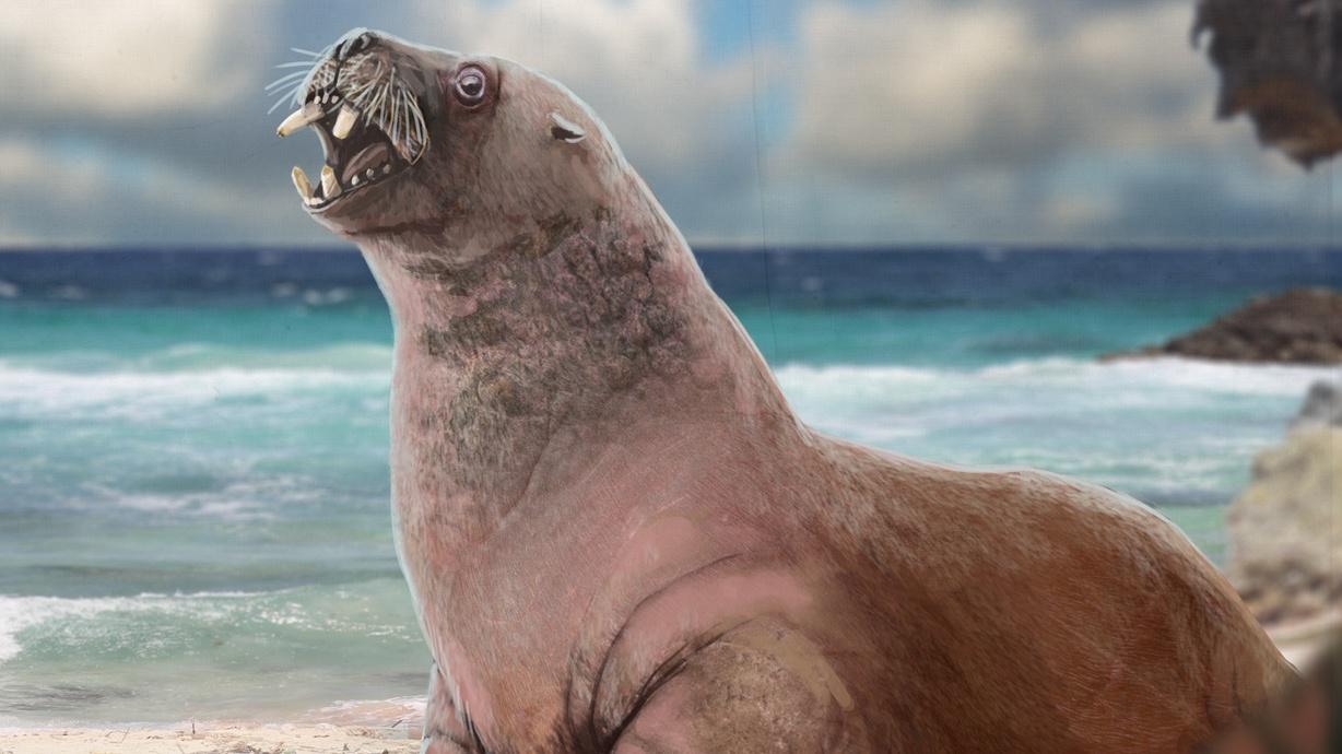 How the Walrus Got Its Tusks | Watch on PBS Wisconsin