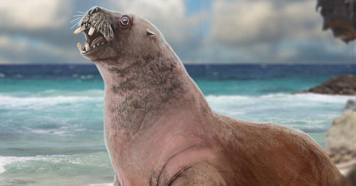 Eons | How the Walrus Got Its Tusks | Season 3 | Episode 12 | OPB