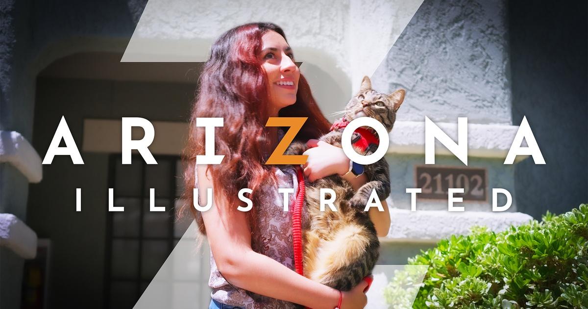Arizona Illustrated | Military Museum, Sacred Fool & Long COVID ...