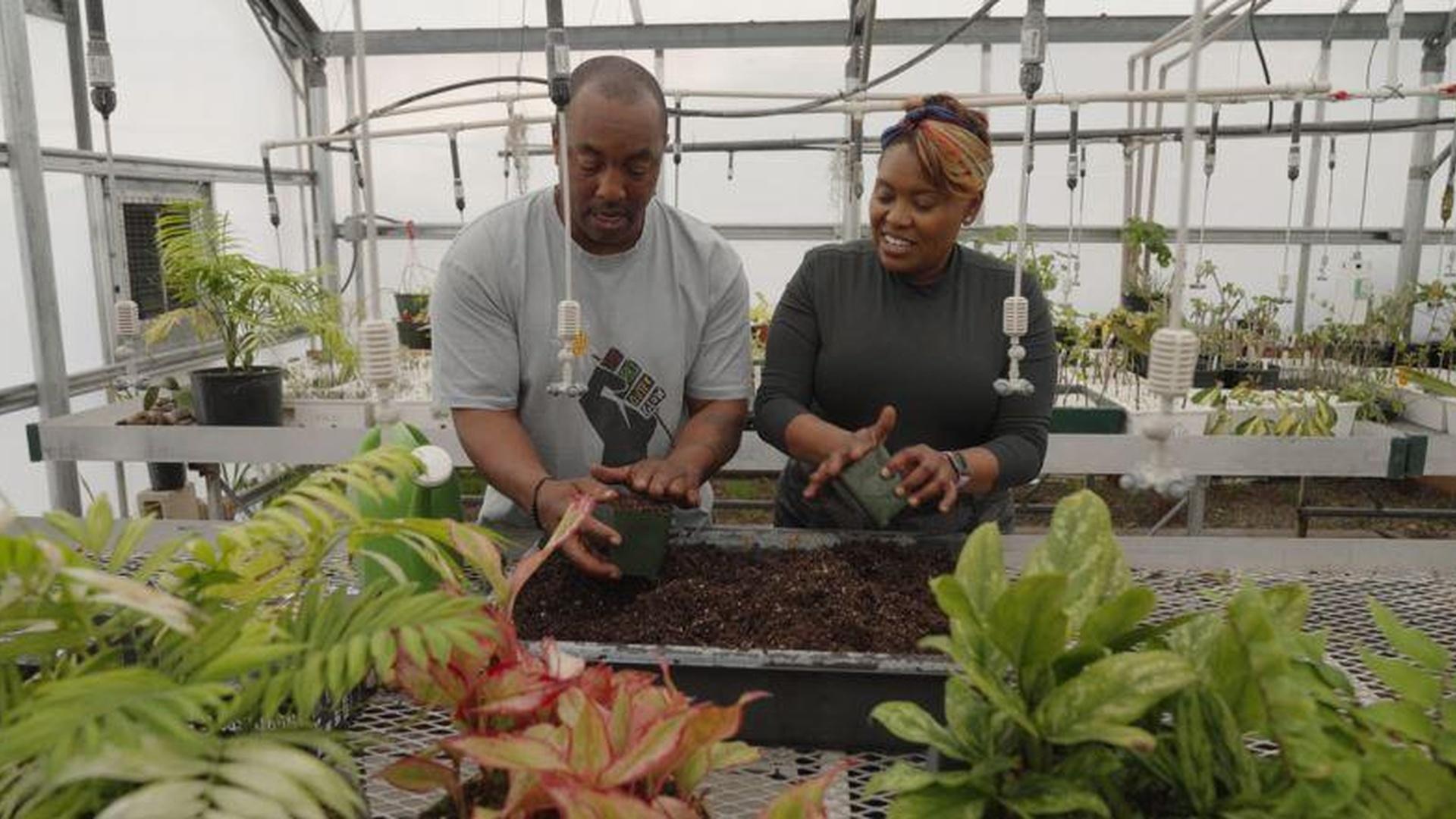 Season 2 Episode 4 Preview | Fresh Glass | THIRTEEN - New York Public Media