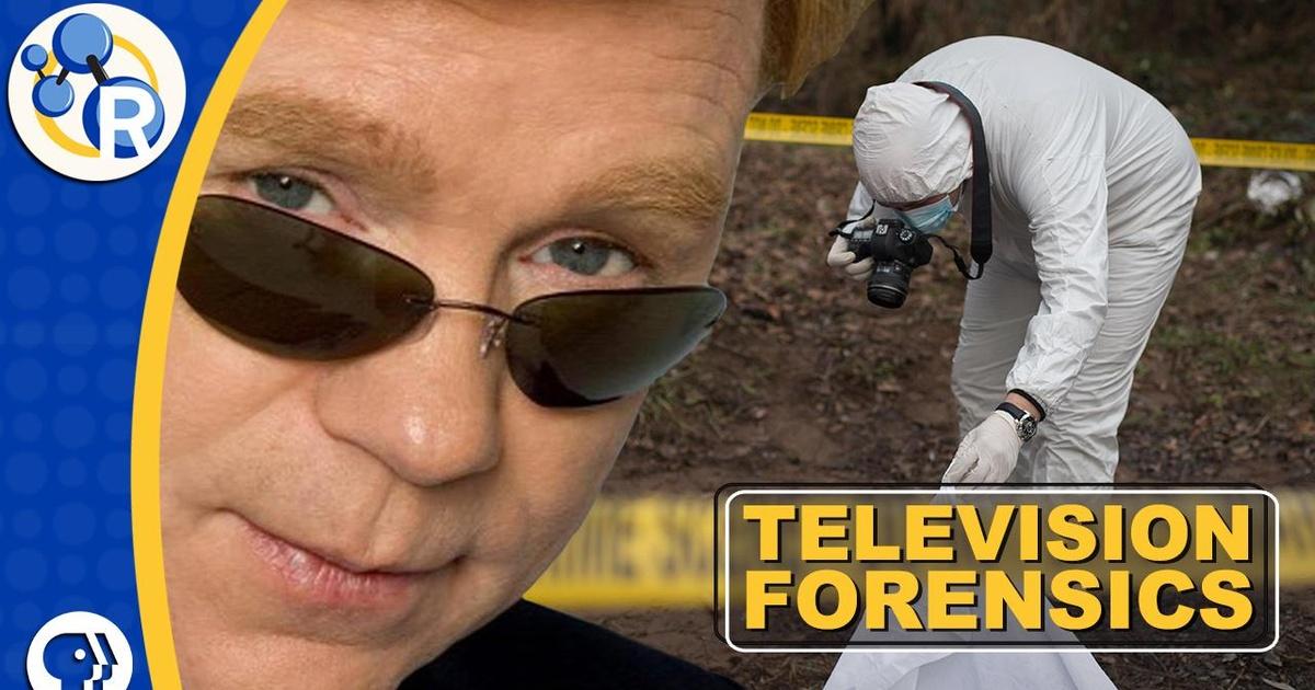 Reactions | TV Forensics: What Do CSIs Actually Do? | Season 5 ...