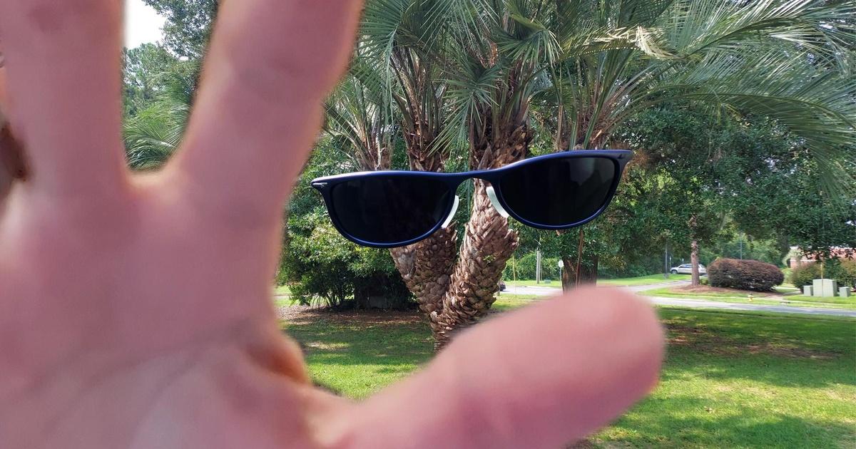 Local Routes | 4-Headed Pindo Palm Found Hiding In Plain Sight | Season ...