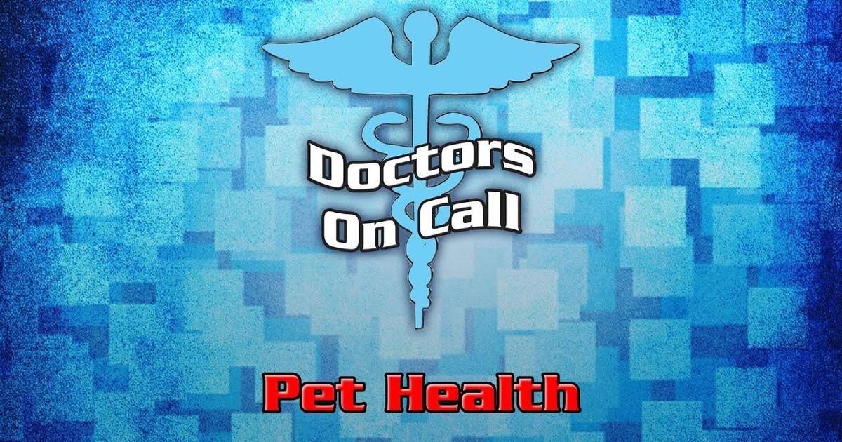 Doctors On Call | Pet Health | Season 20 | Episode 7 | PBS