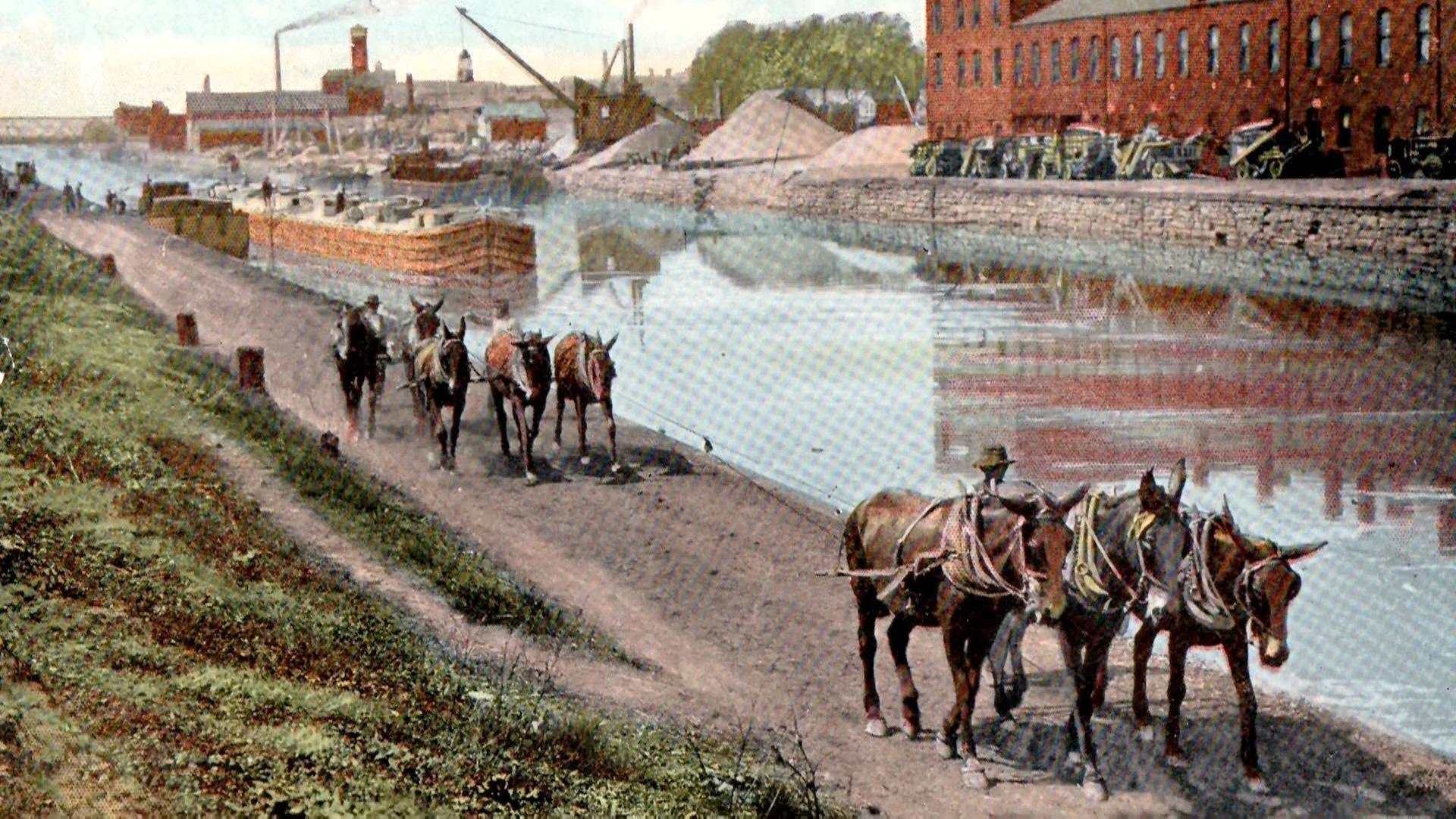 Web Extra: When Mules Ruled the Canal | 10 That Changed America ...
