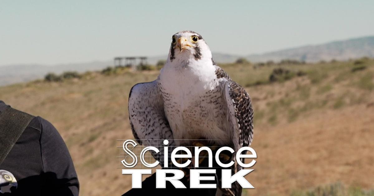 Science Trek | PBS