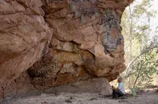 NOVA | A to Z: How Writing Changed the World | Season 47 | Episode 14 | PBS