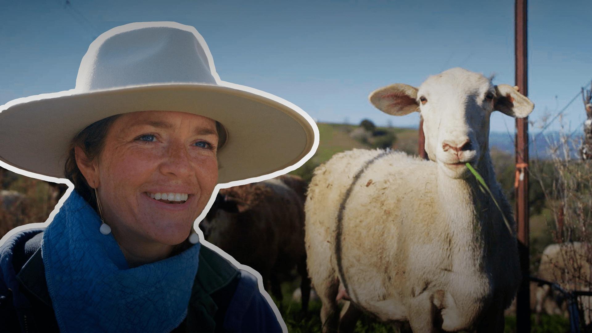 How this Shepherdess and Her Sheep are Restoring California | Women of ...