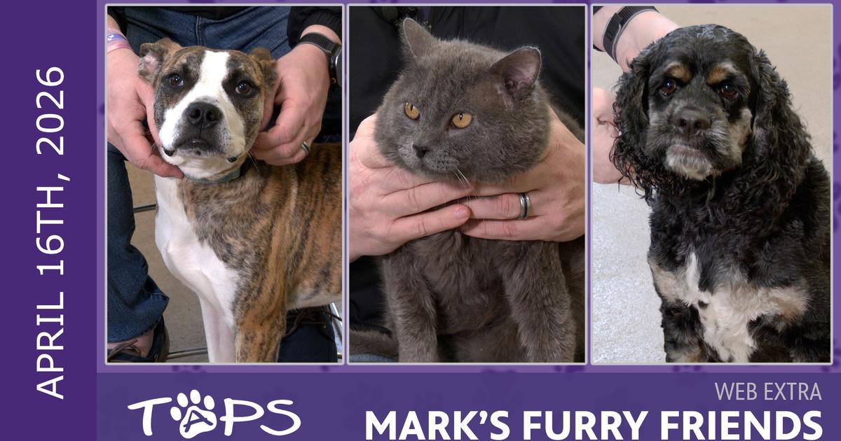 Mark’s Furry Friends | 4/16/2026 | Jagger, Wally and Universe | Mark's ...