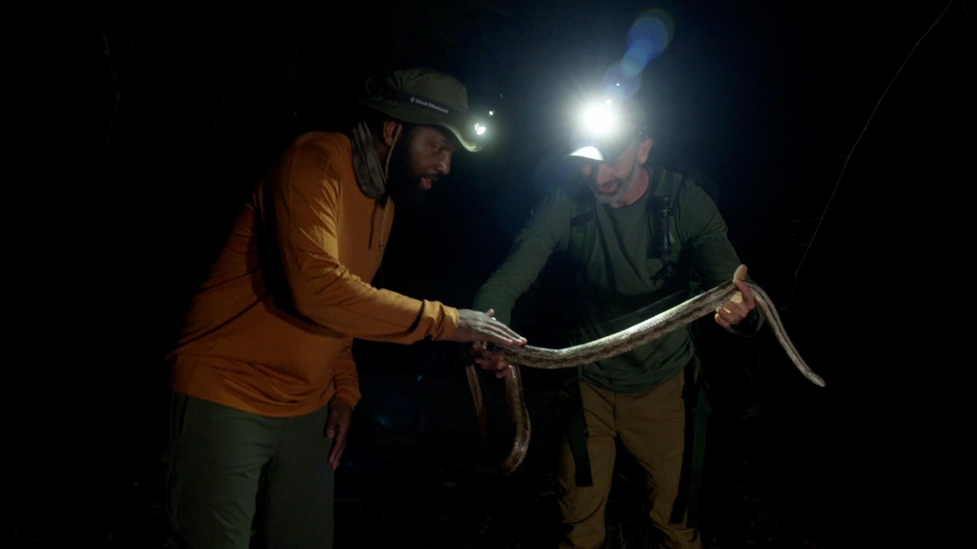 Night Herping in the Suwannee | America Outdoors with Baratunde ...