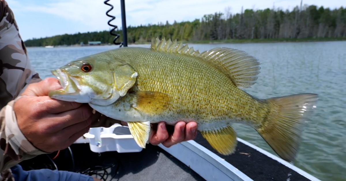 Michigan Out-of-Doors | UP Bass Fishing, Bragging Board | Season 25 ...
