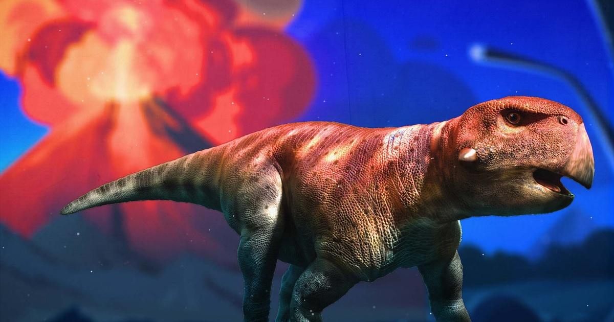 Eons | The Mystery of the Cretaceous Pompeii | Season 7 | Episode 13 | PBS