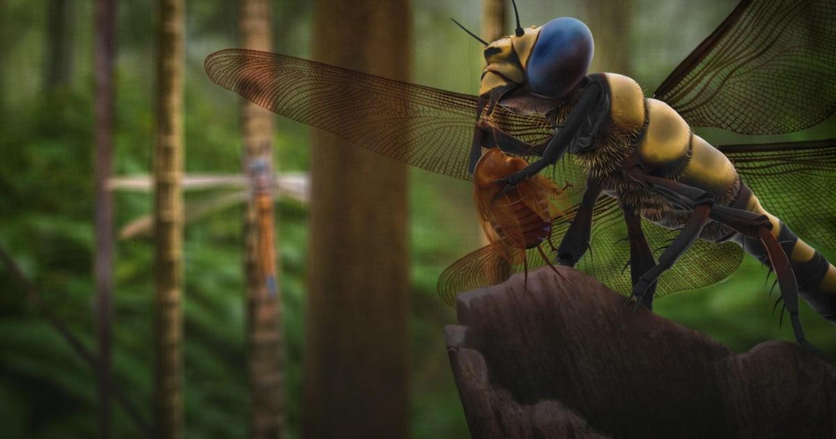 Eons Podcast | Could You Survive The Carboniferous Period? | Season 2 ...