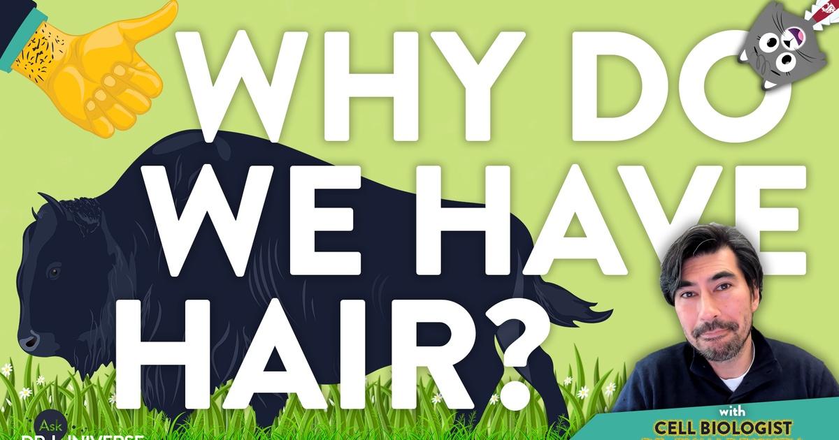 Ask Dr. Universe | Why Do We Have Hair? With Dr. Driskell | PBS