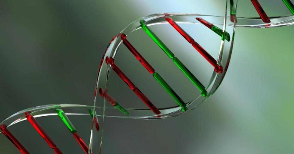 SCI NC | How genetic counseling helps families | PBS