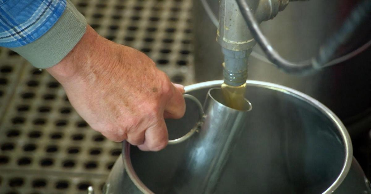 Autumnwatch New England | Maple Syrup Tapping | PBS