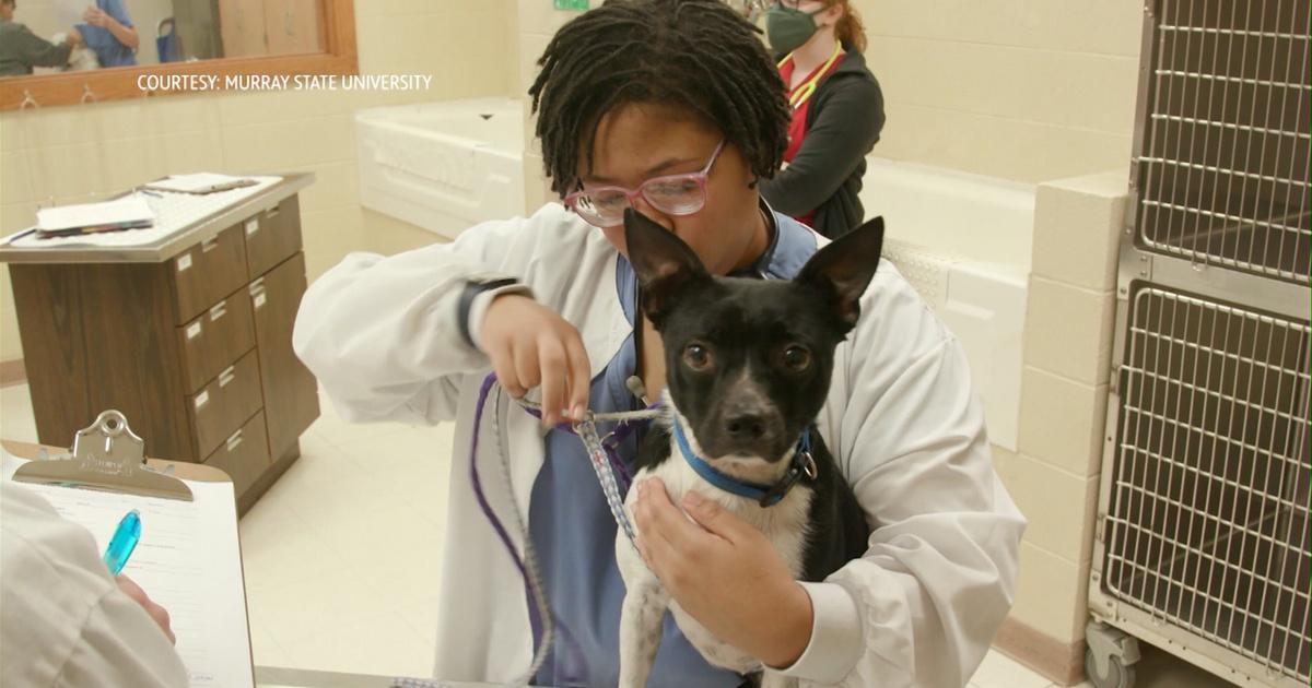 Kentucky Edition | Murray State Veterinary | Season 2 | Episode 179 | PBS