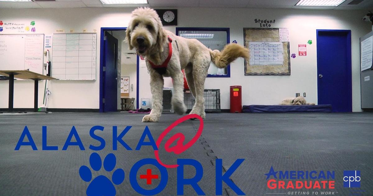 Alaska at Work | Start a Career as a Vet Assistant | Season 1 | PBS