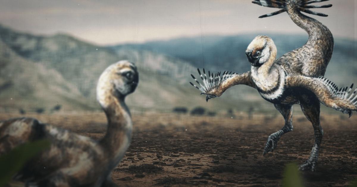 Eons | How Dinosaurs Coupled Up | Season 4 | Episode 12 | PBS