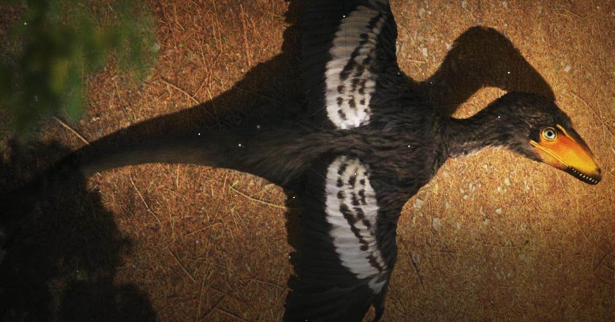 Eons | The Raptor That Made Us Rethink Dinosaurs | Season 2 | Episode ...