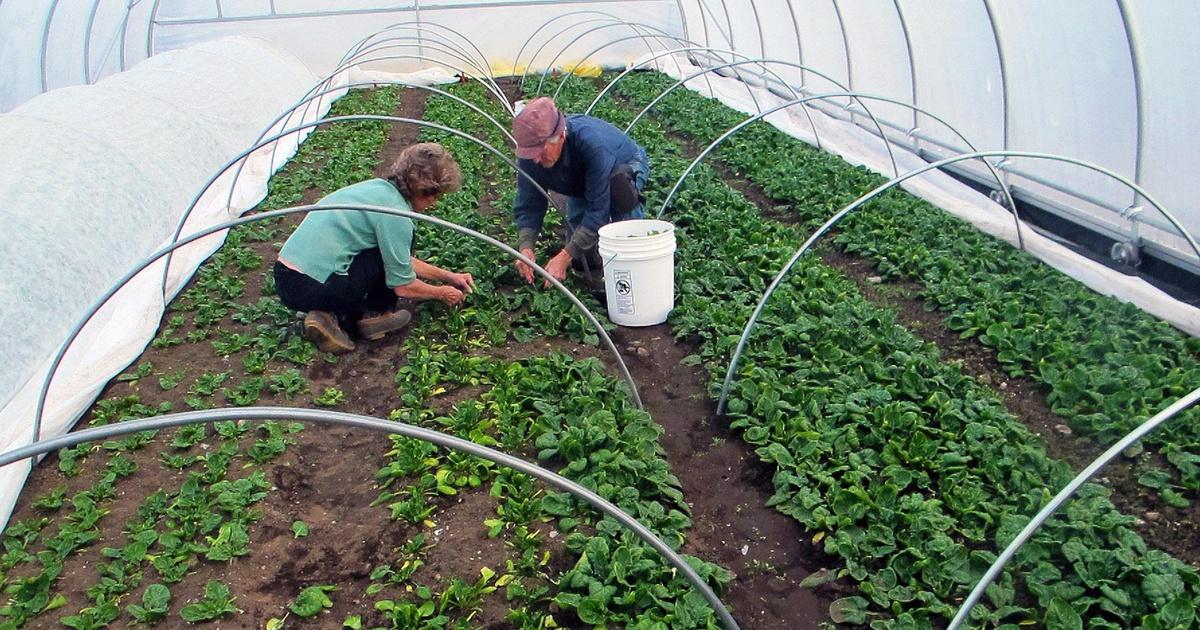 Growing a Greener World | Year-Round Growing with Eliot Coleman ...