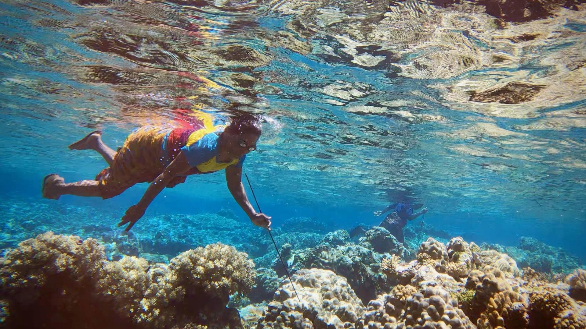 East Timor | Culture Quest | ALL ARTS