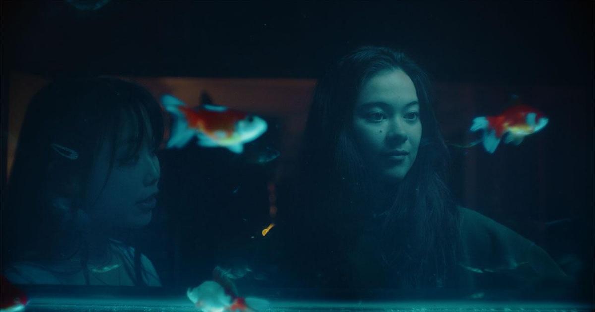 PBS Short Film Festival | Lucky Fish | Season 2023 | PBS