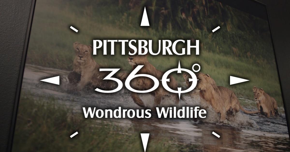 Pittsburgh 360 | Wondrous Wildlife | Season 2020 | PBS