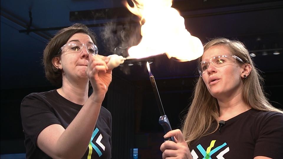 Hands-On Science | Physics Force | PBS