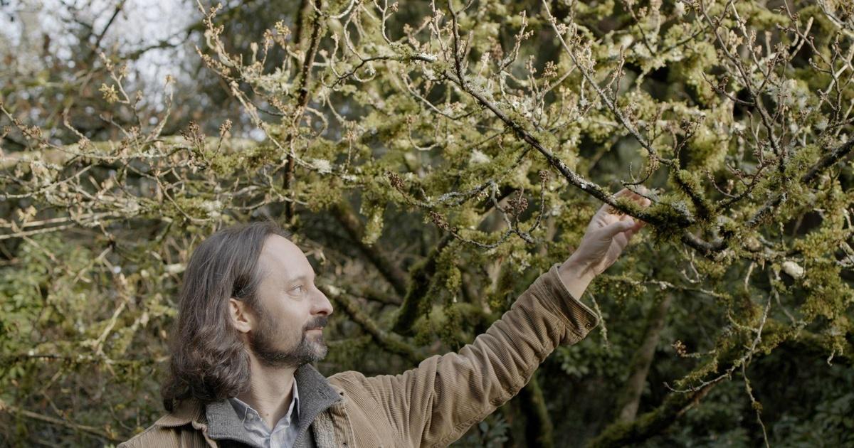 Human Elements | Climate Therapy | Season 4 | PBS