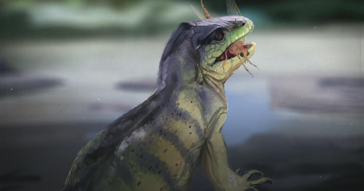 Eons | When Lizards Took Over the World | Season 3 | Episode 28 | PBS