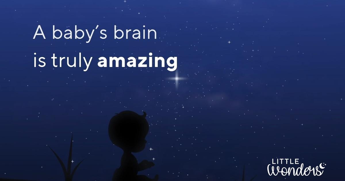 Little Wonders | Little Wonders 1 | PBS