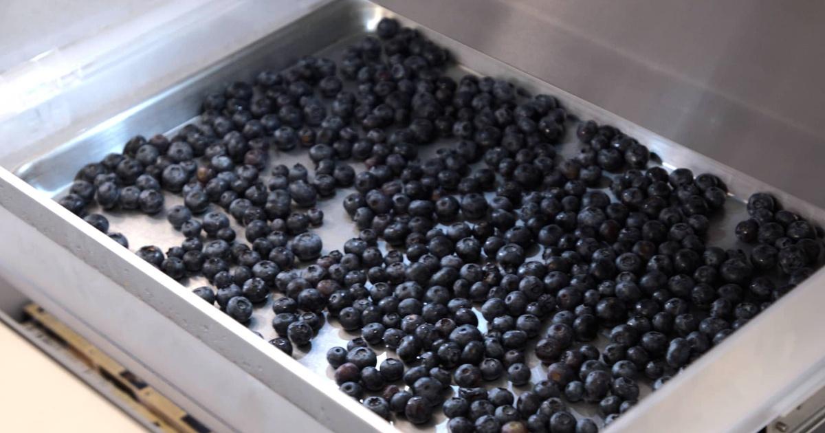 The Key Ingredient | Sheri Says: How to Wash and Freeze Fresh ...