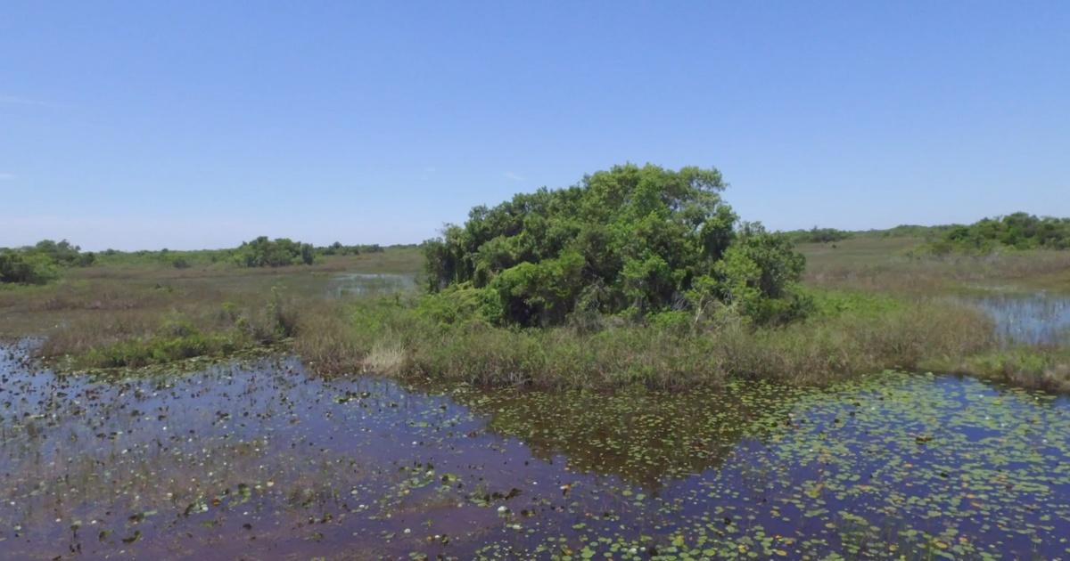 Battleground Everglades | War on Invasive Species | Episode 102 | PBS