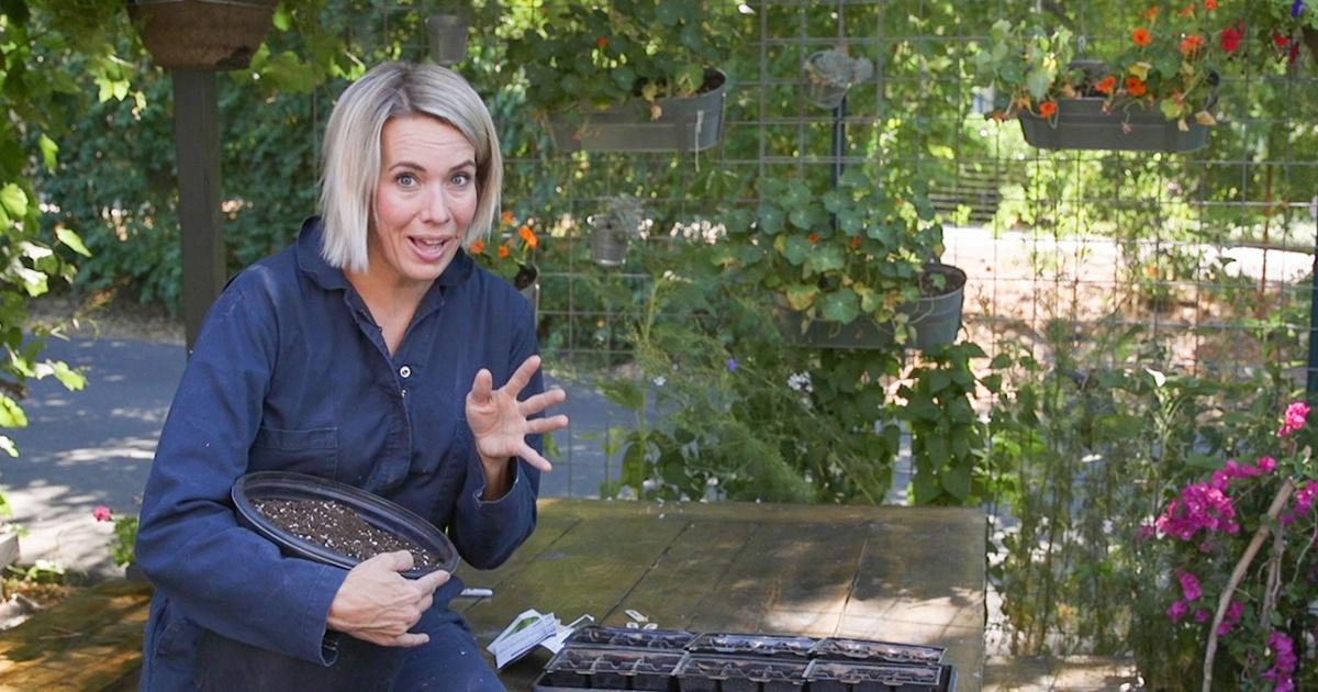 Modern Gardener | Garden Progression: Month of July | Episode 98 | PBS