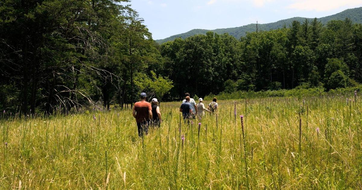 The Prairie Preacher: Preserving Appalachia’s Grasslands | How does the ...