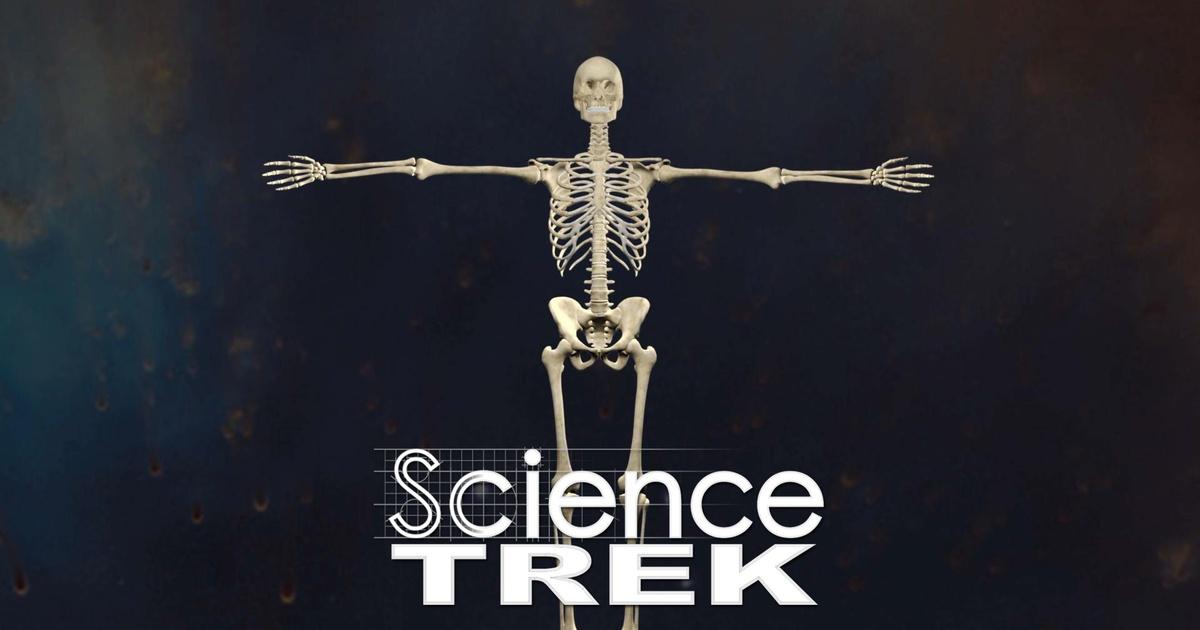 Science Trek | Skeletons: Skeletons Uncovered | PBS